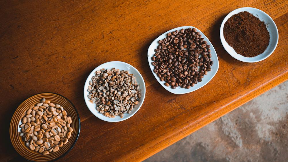 Cusco coffee tour cultivation | Kenko Adventures